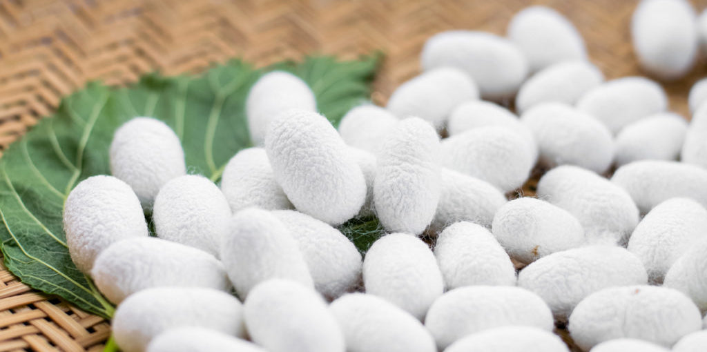 La diferencia entre la seda de morera y otras sedas – ES-SILKSILKY